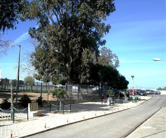 Escola E B 2 3 Mário de Sá Carneiro Rua Eduardo Augusto Pinto 2680