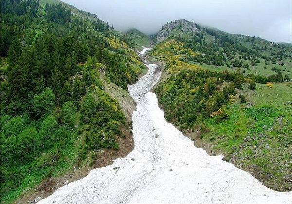 Ayder