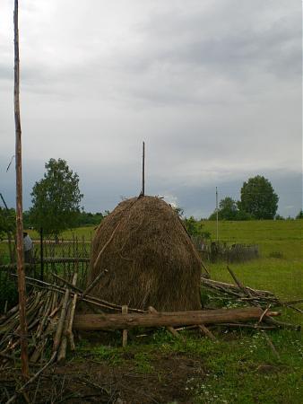 Krasota