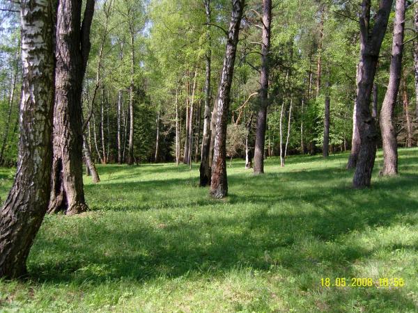 Gorenskoye
