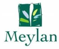 Meylan