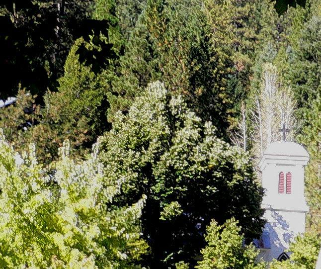 Immaculate Conception Catholic Church - Downieville, California Immaculate Conception Catholic Church - Downieville, California