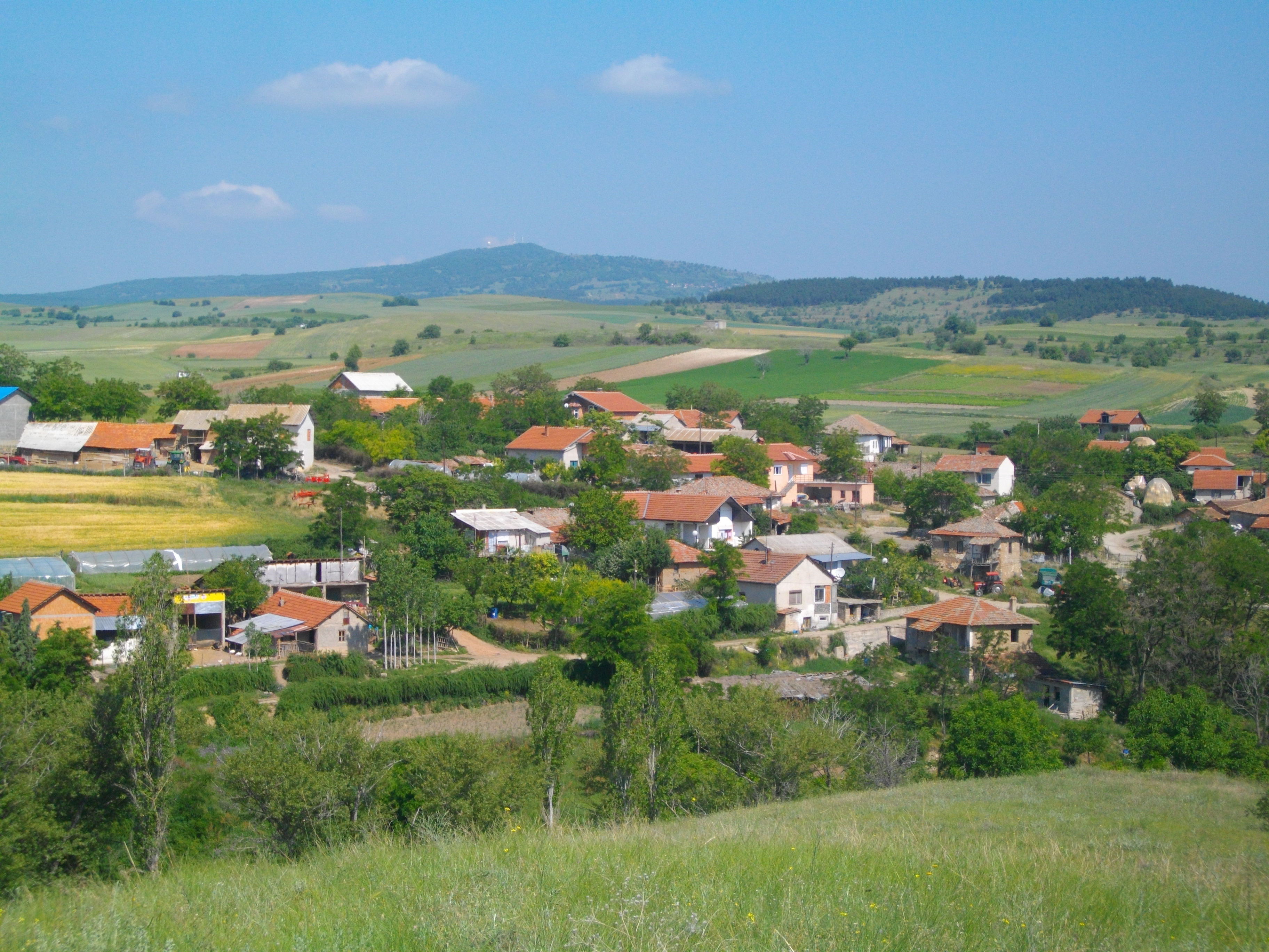 Knezhje