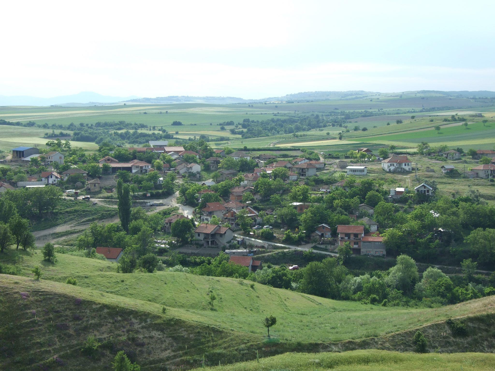 Knezhje