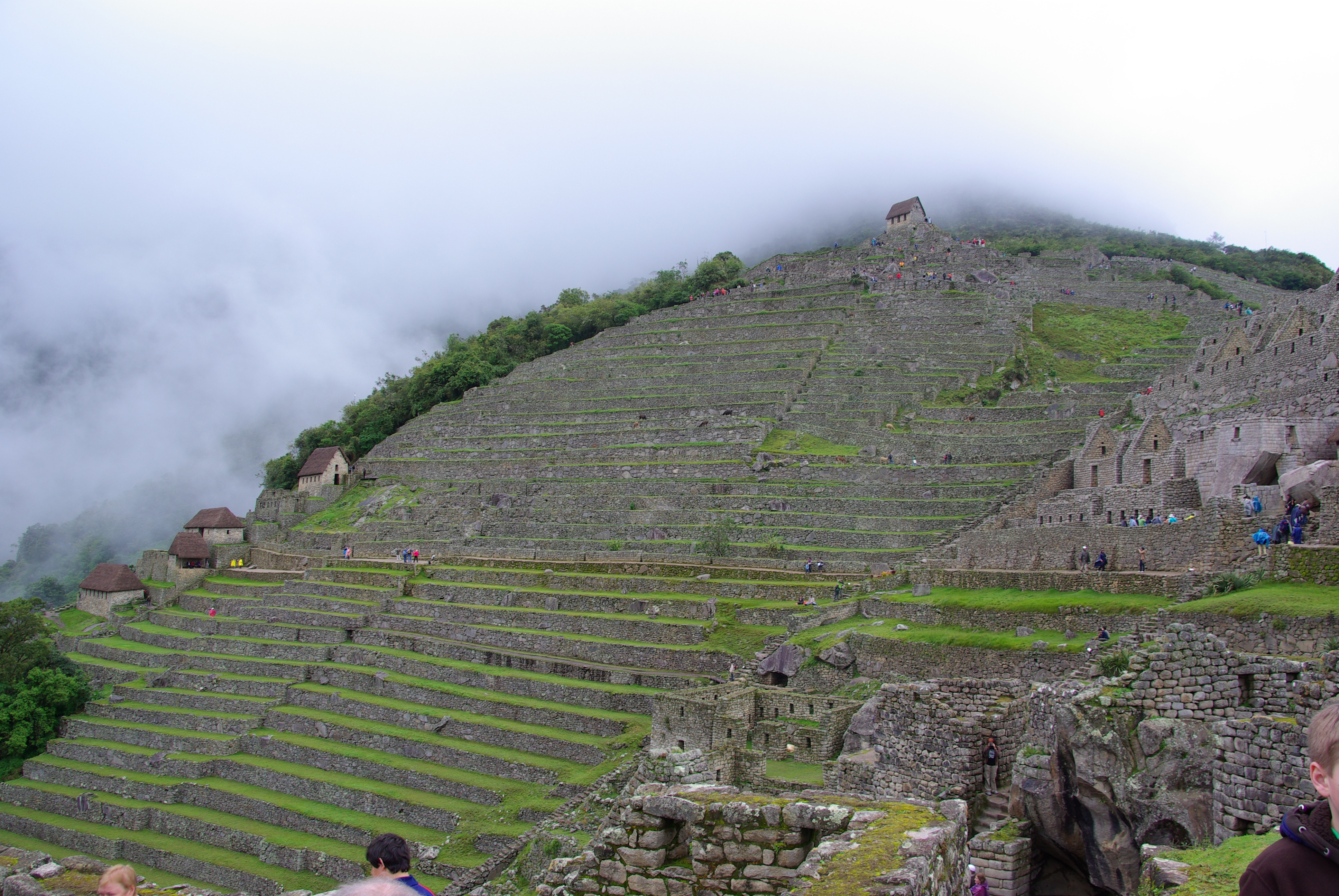 Agricultural Terraces at Machu Picchu - Machu Picchu Agricultural Terraces at Machu Picchu - Machu Picchu