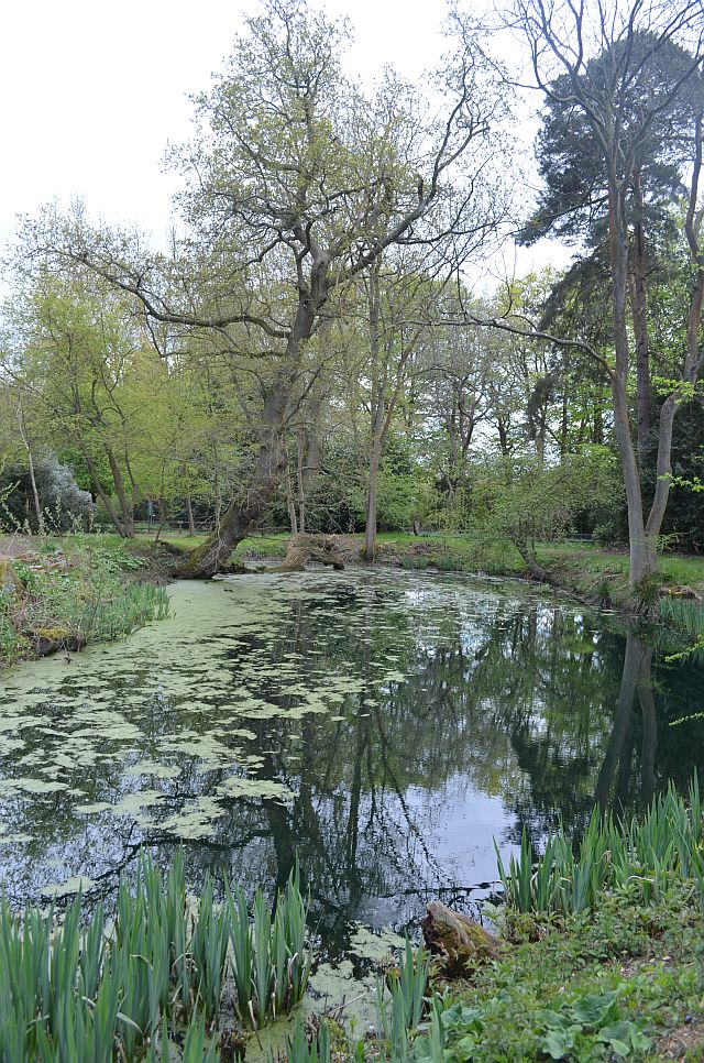 Ponds