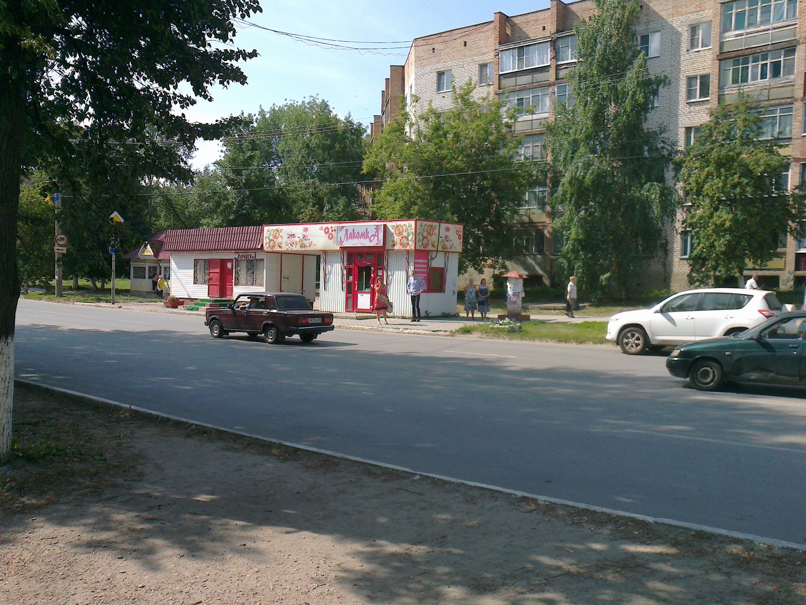 Волкова 4 Фото – Telegraph