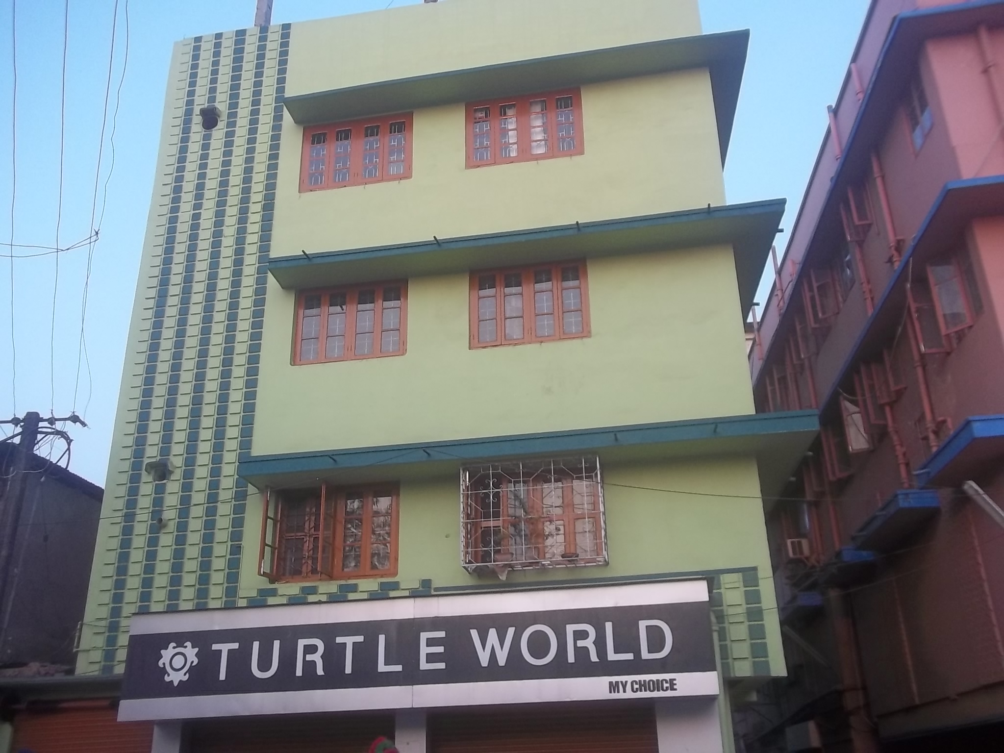 TURTLE WORLD - Silchar