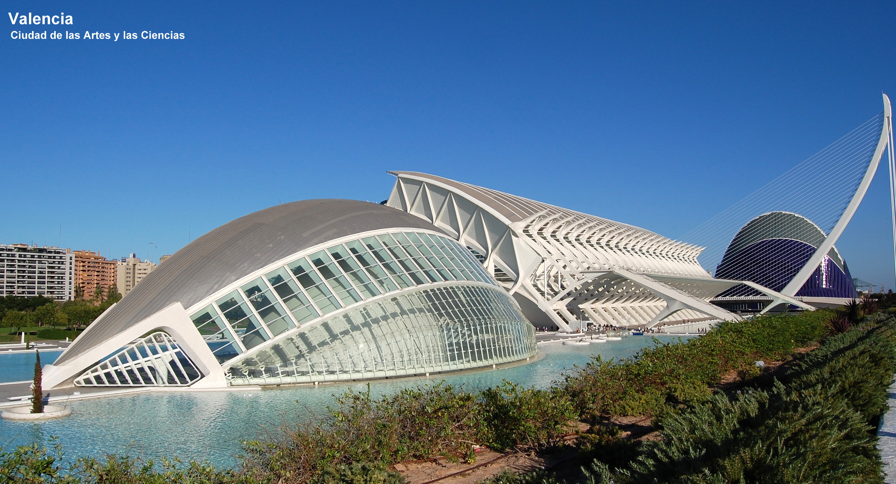 Ciudad de las Artes y las Ciencias de Valencia - Valencia (Español) Ciudad de las Artes y las Ciencias de Valencia - Valencia (Español)