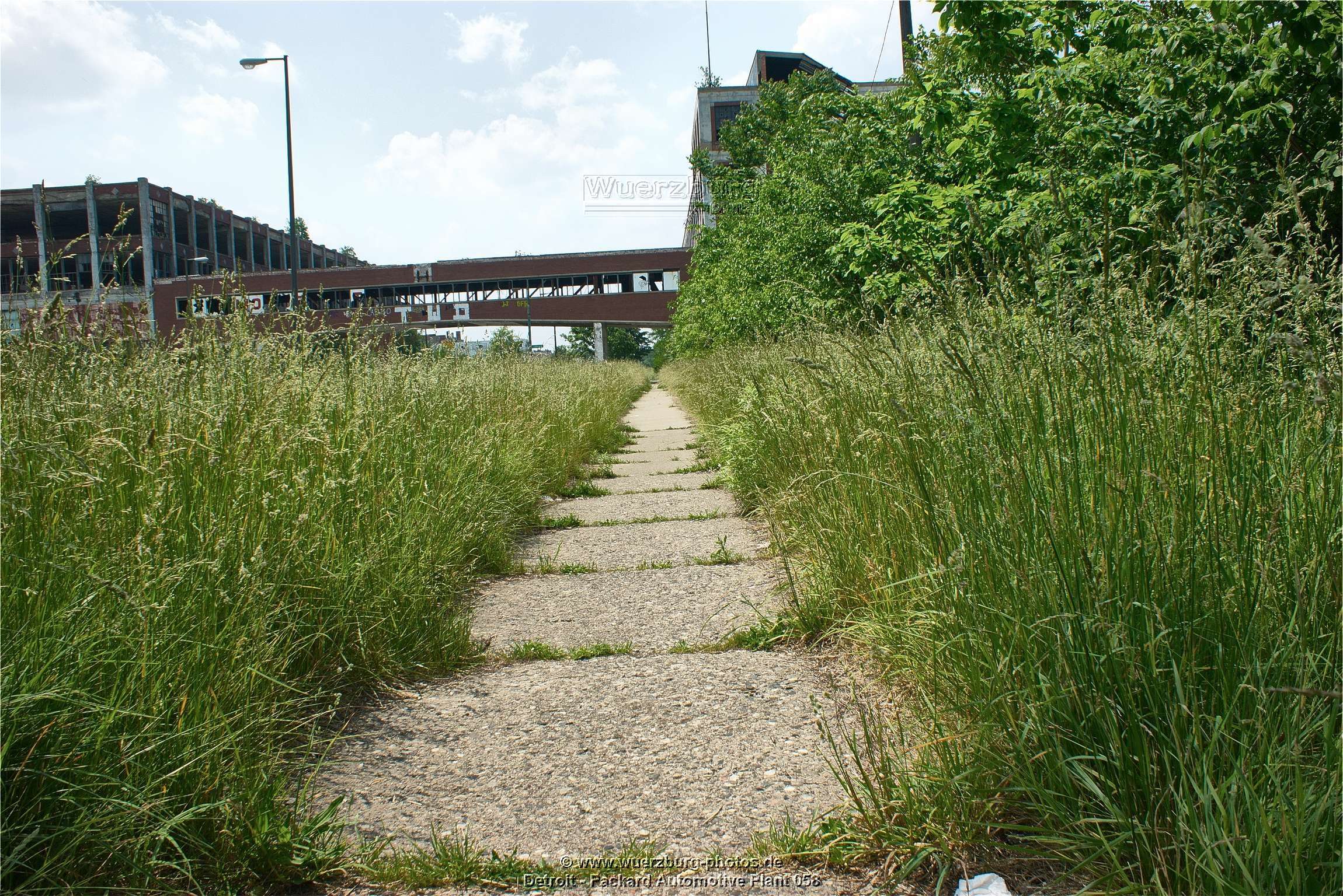 Packard Automotive Plant - Bridge over the East Grand Blvd - Detroit ... Packard Automotive Plant - Bridge over the East Grand Blvd - Detroit ...