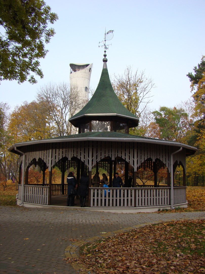 Tea house - Riga