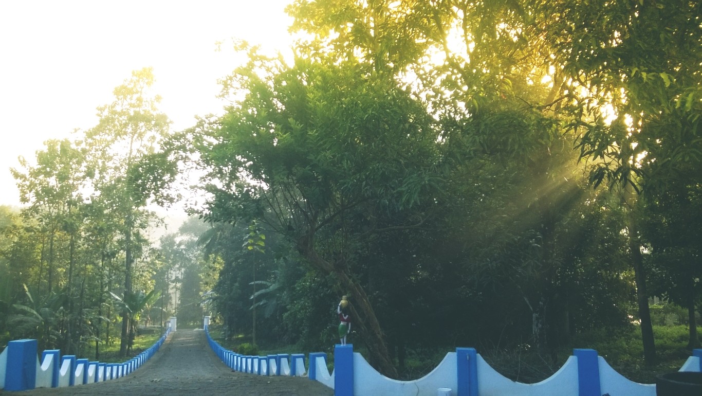 POOVATHUNGAL VARGHESE MATHEW'S HOUSE POOVATHUNGAL VARGHESE MATHEW'S HOUSE