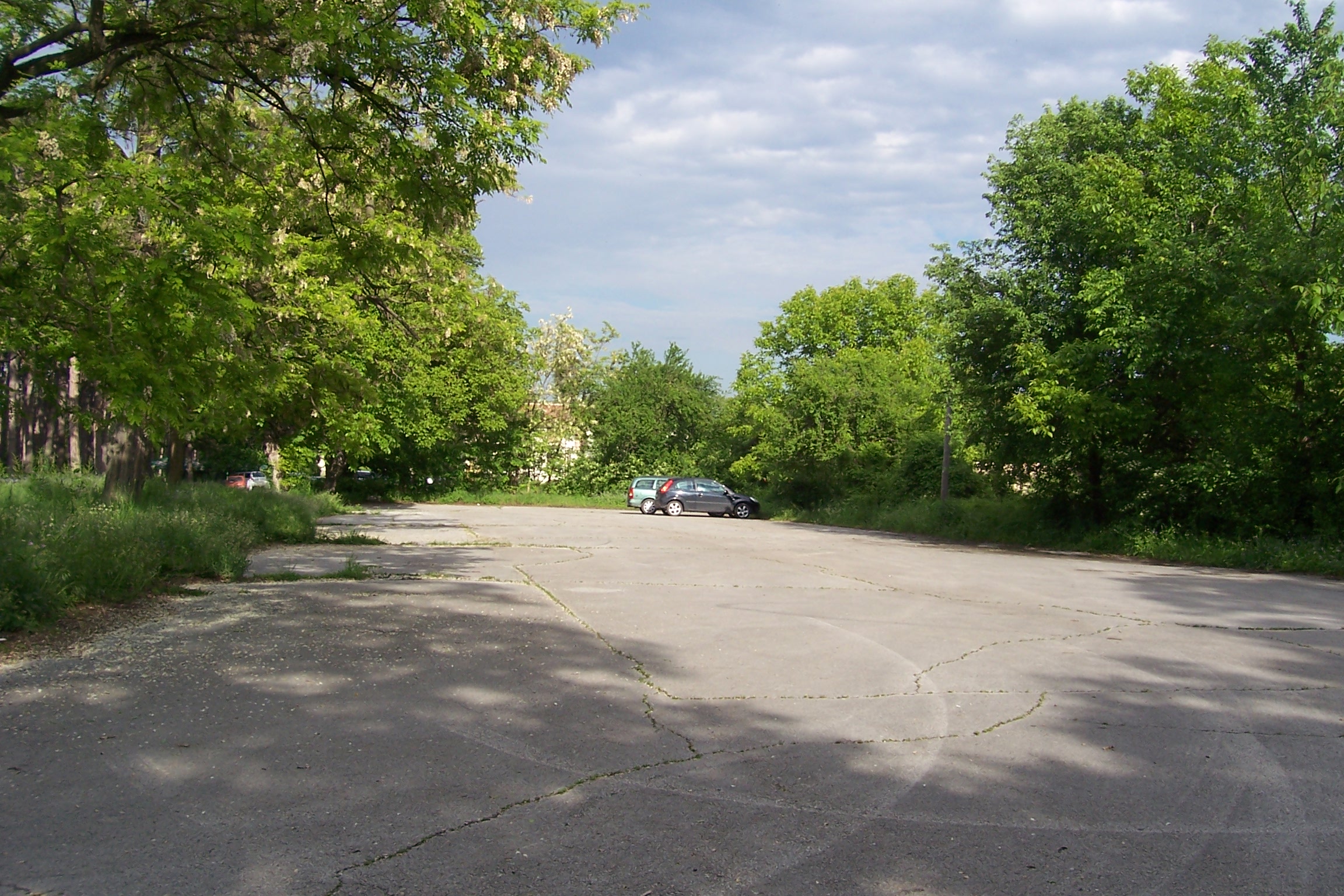 Parking Lot Parking Lot