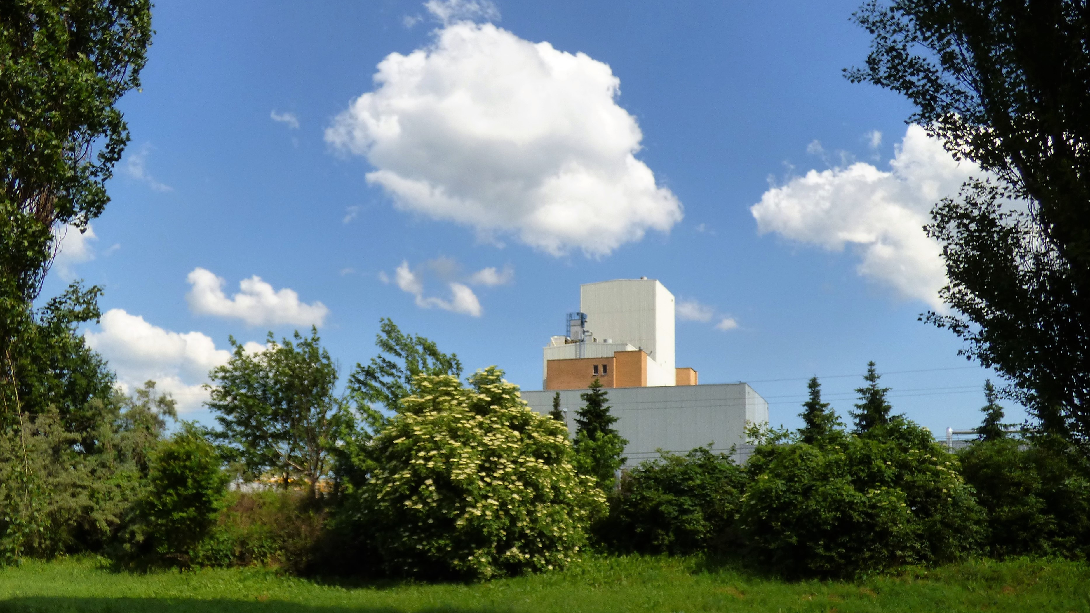 Unilever Polska S.A. - Bydgoszcz