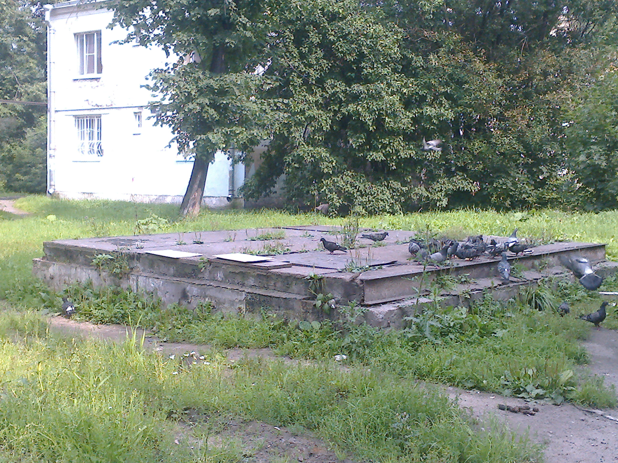 Смотровой колодец - Санкт-Петербург