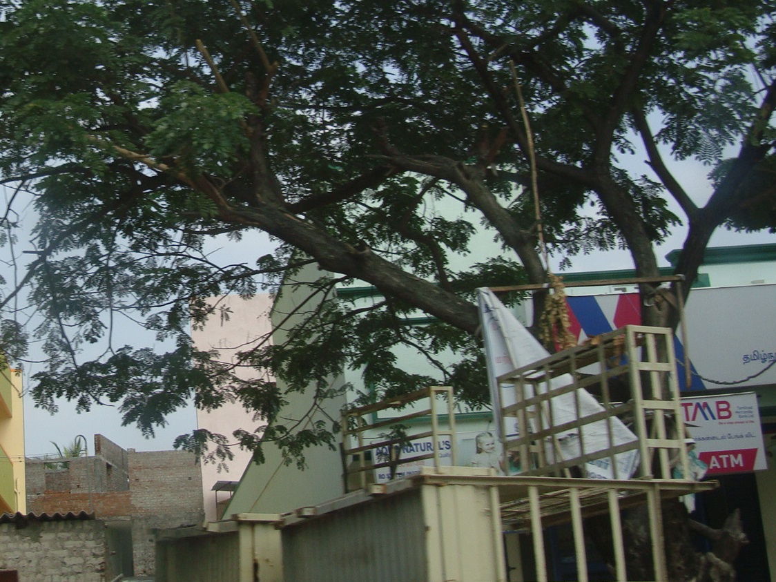 Tamil Nadu Mercantile Bank Senji tamil-nadu-mercantile-bank-senji