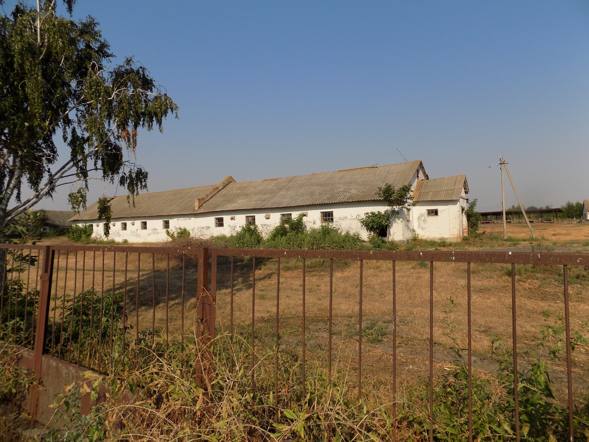Farm - Kovalykha