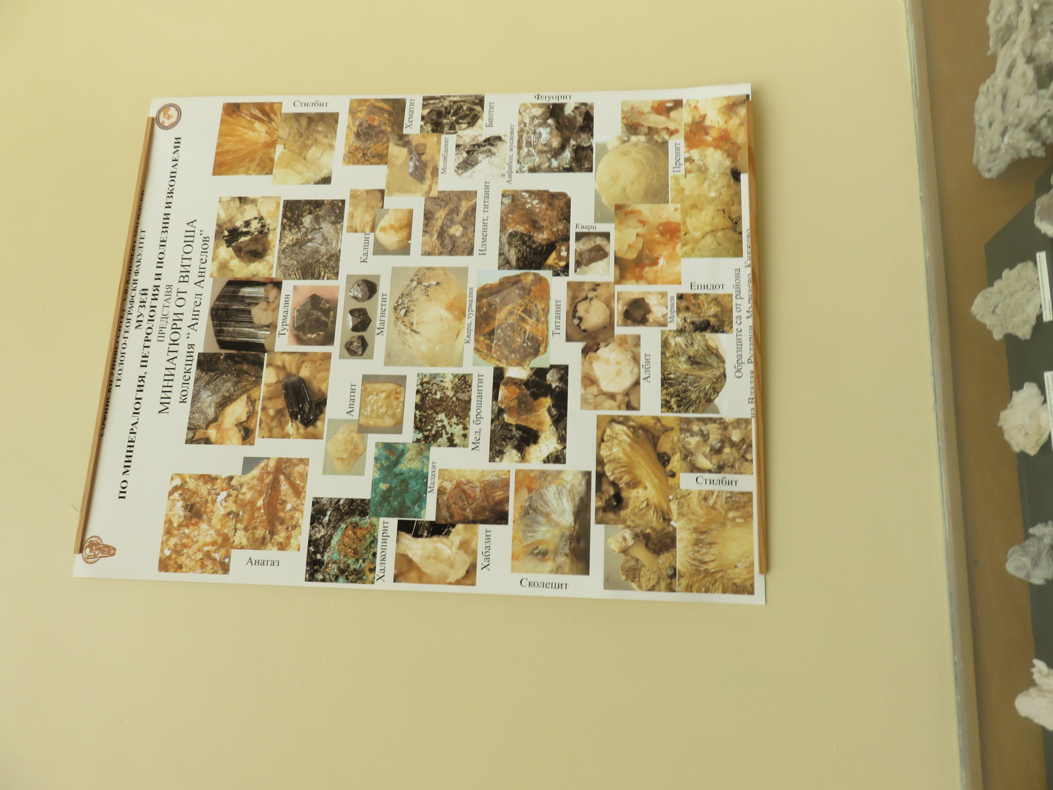 Музей по минералогия петрология и полезни изкопаеми София