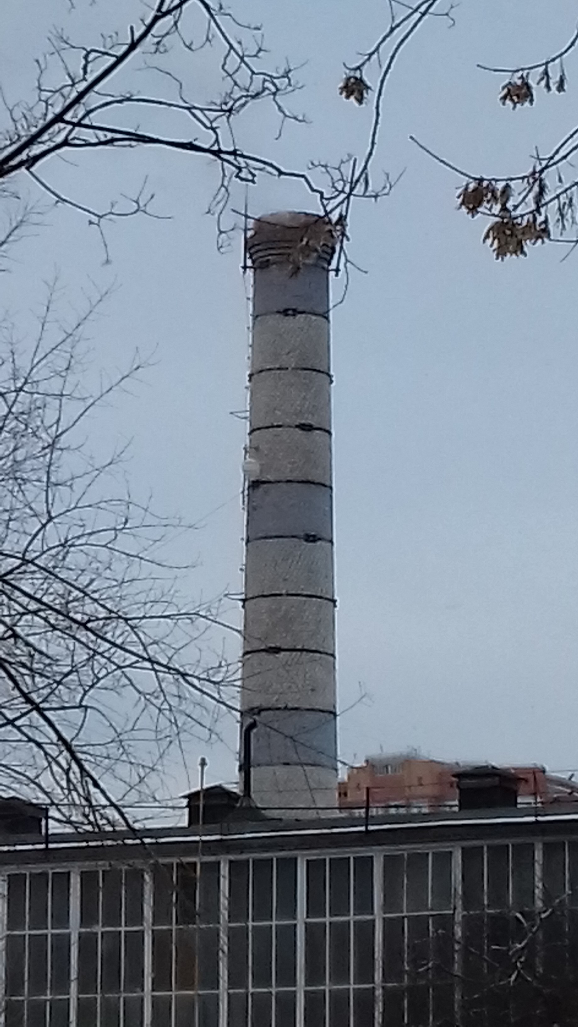 Дымовая труба - Красногорск