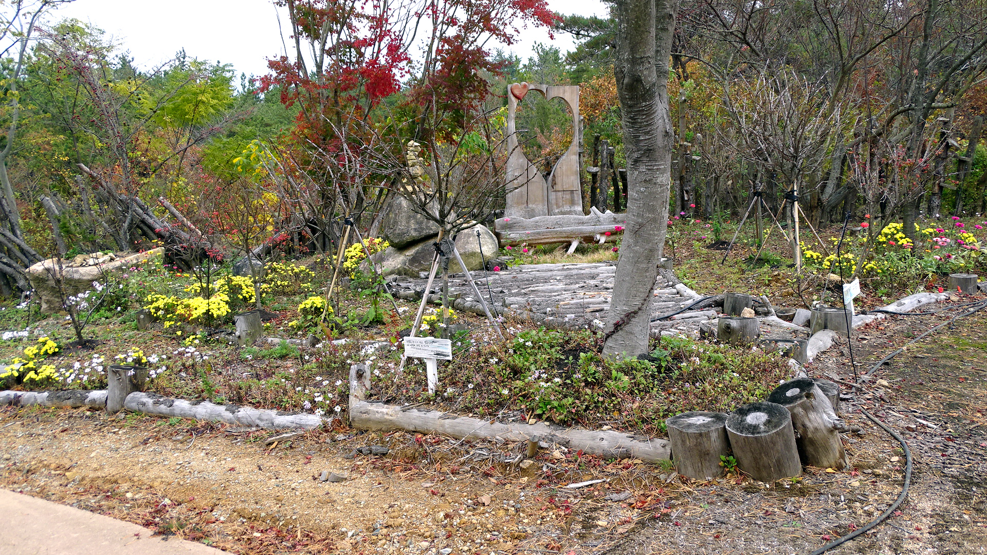 Goheung Cultural Experience Center Goheung Cultural Experience Center