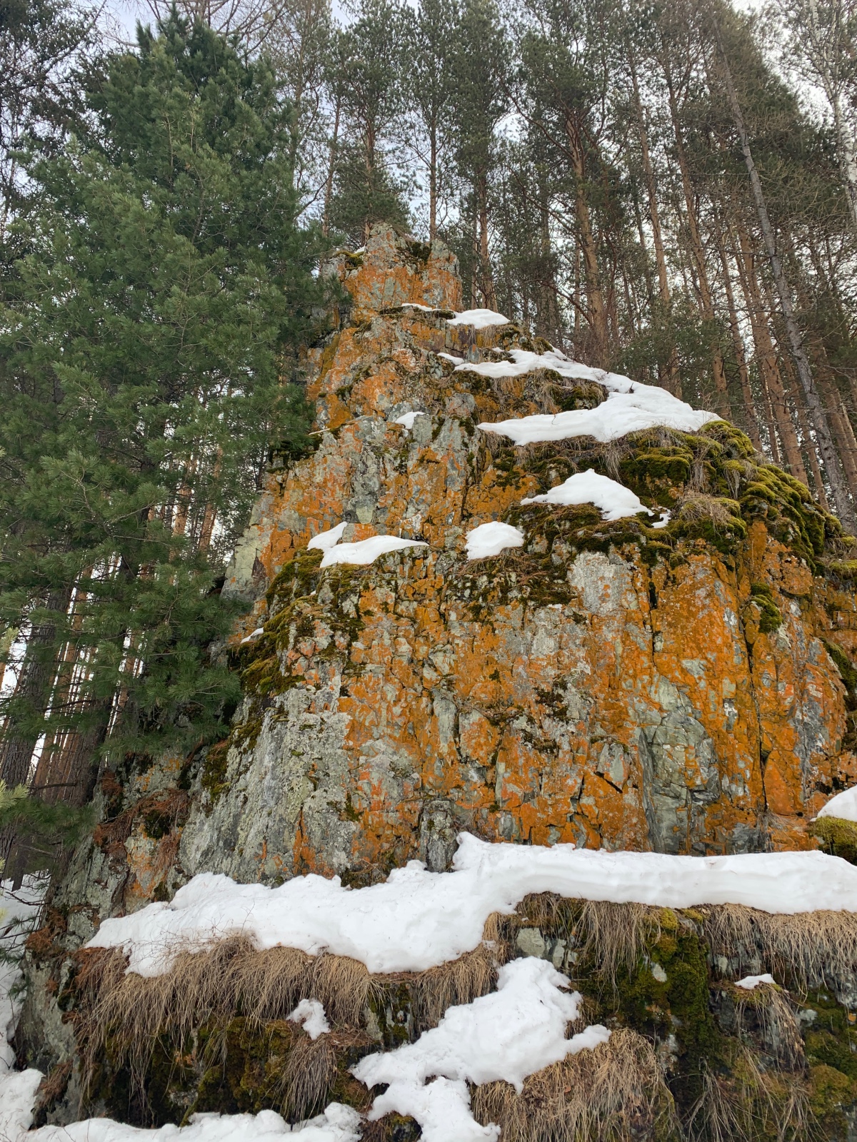 Скала Рыжая
