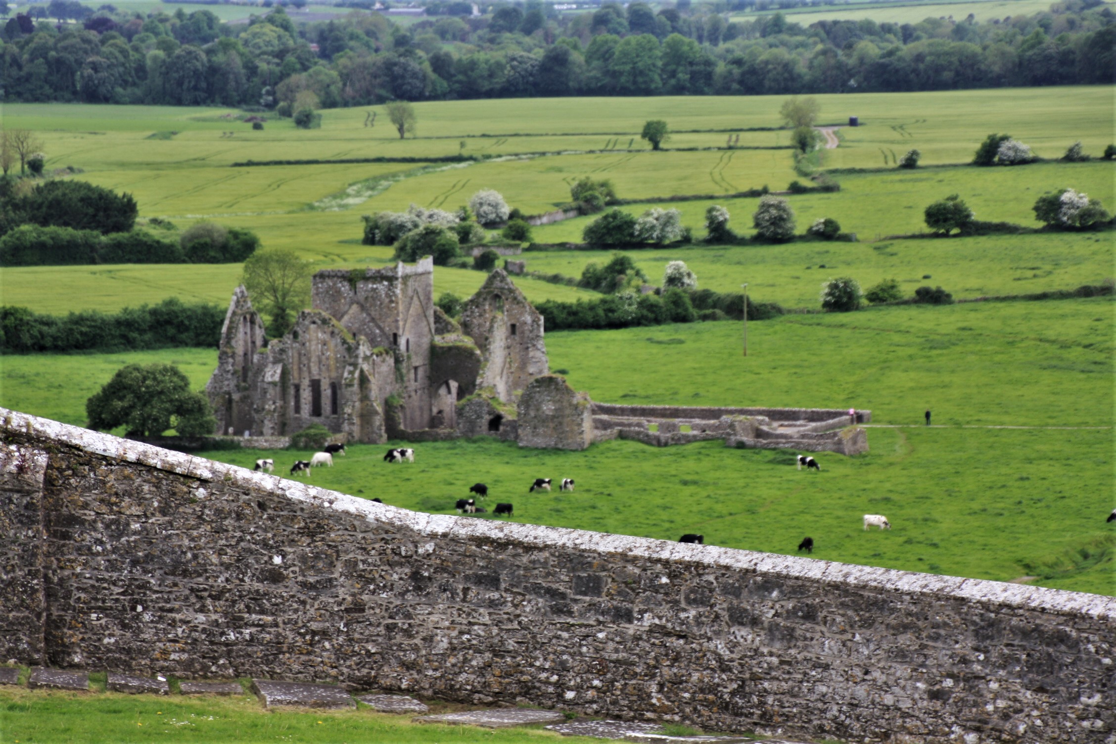 Hore Abbey (Ruins) Hore Abbey (Ruins)