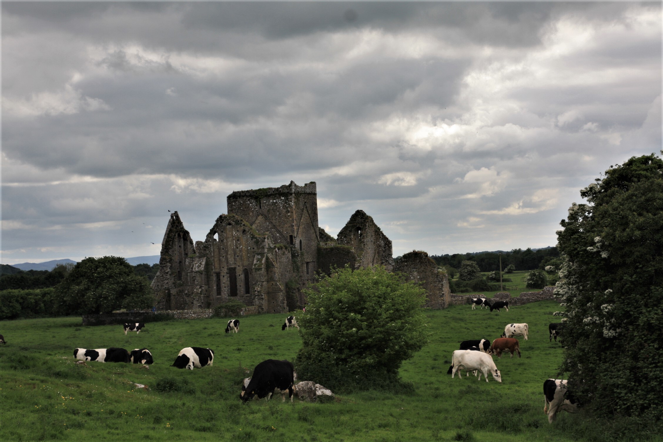 Hore Abbey (Ruins) Hore Abbey (Ruins)