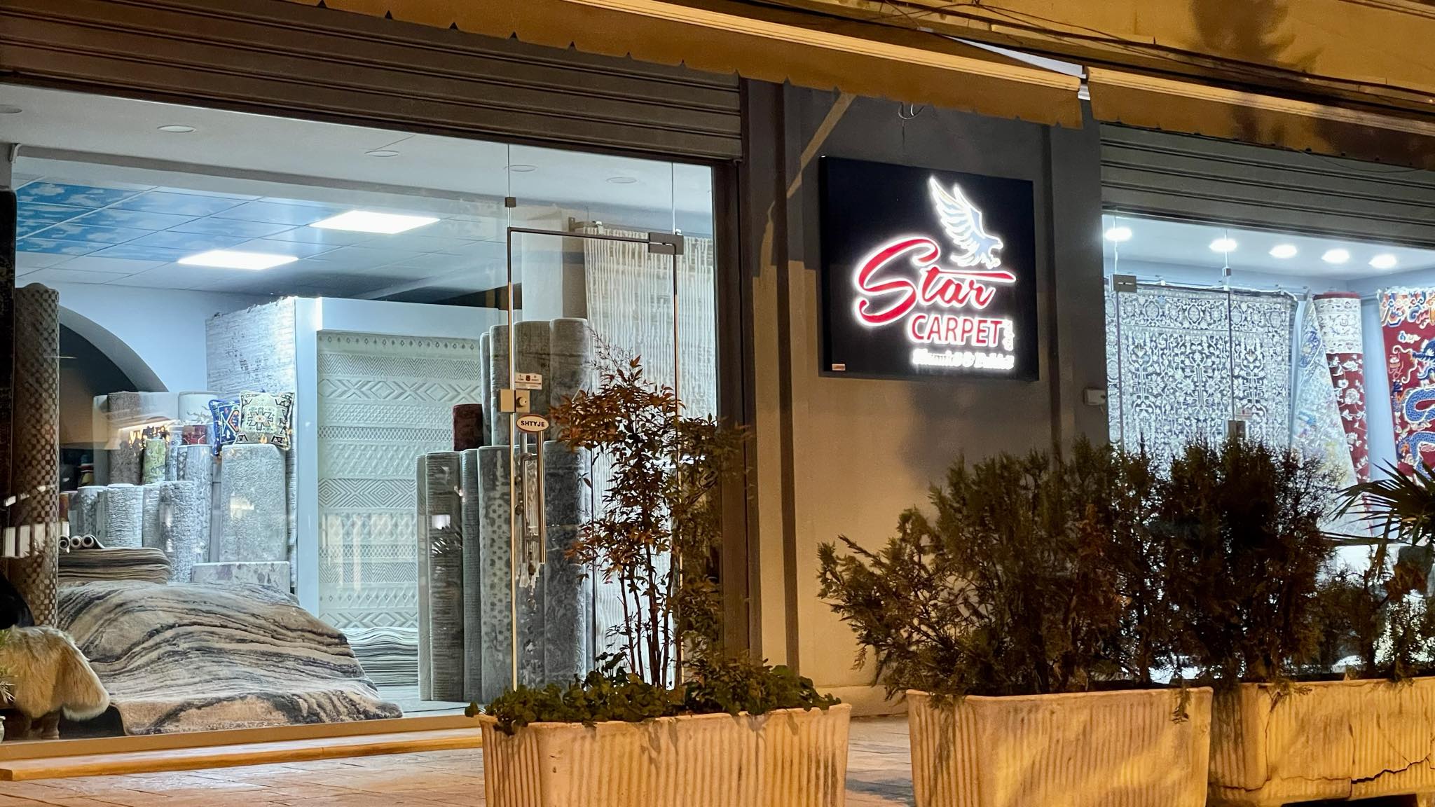 Star Carpet shpk - Tirana