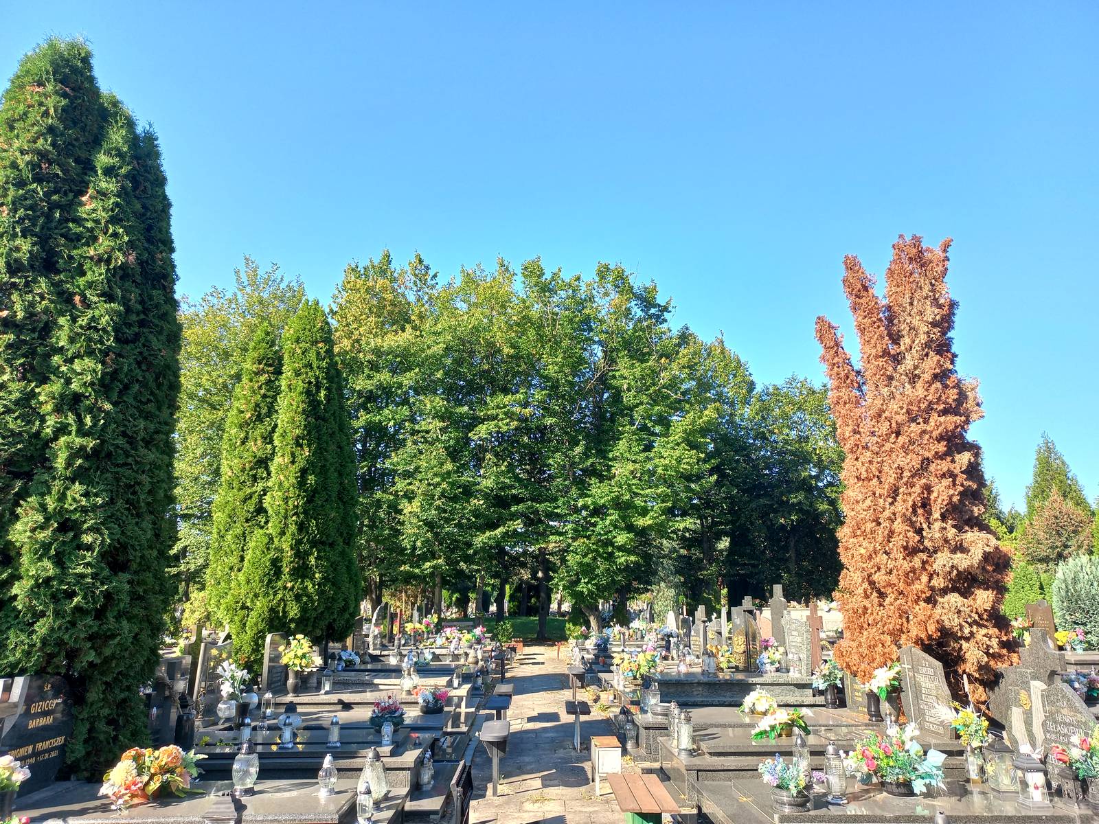 Cmentarz Parafialny - Wrocław