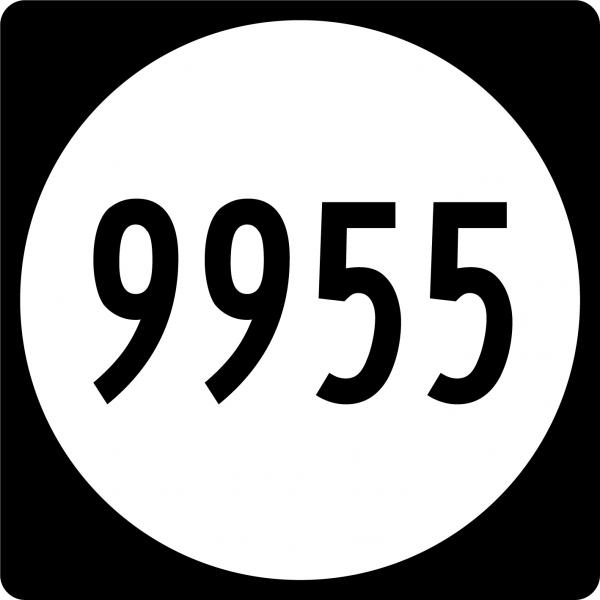 Carretera PR-9955 - Río Grande