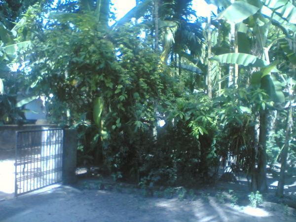 Chamakunnu-Vellangallur