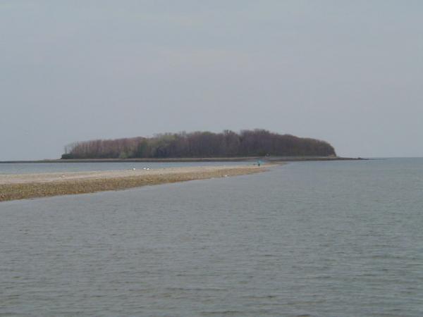 Charles Island - Milford, Connecticut