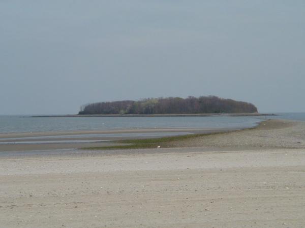 Charles Island - Milford, Connecticut