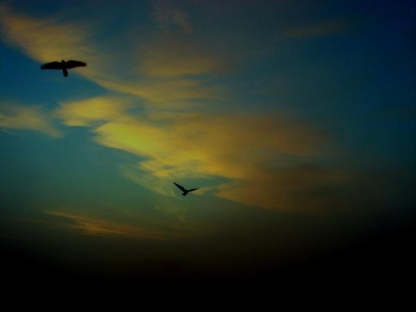 Retkinia - Łódź (Polski)