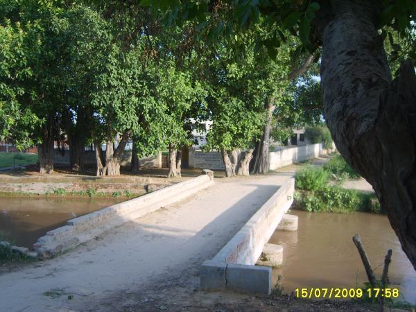 Rampura Phul — Overview