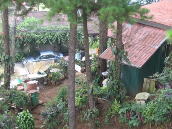 Pines View Hotel - Baguio