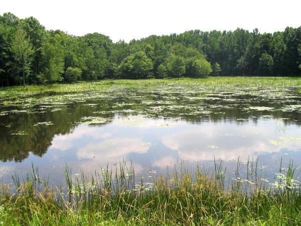 Patuxent Research Refuge