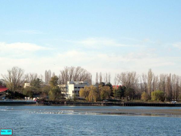 Lacul Tei - Bucureşti