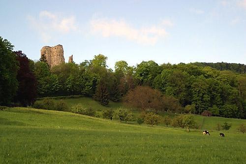 Château de Pfeffingen | ruines, vestiges, lieu touristique, intéressant