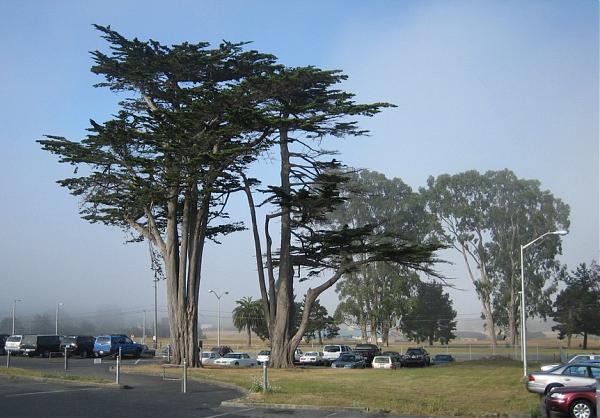 Arcata/Eureka Airport (ACV/KACV)