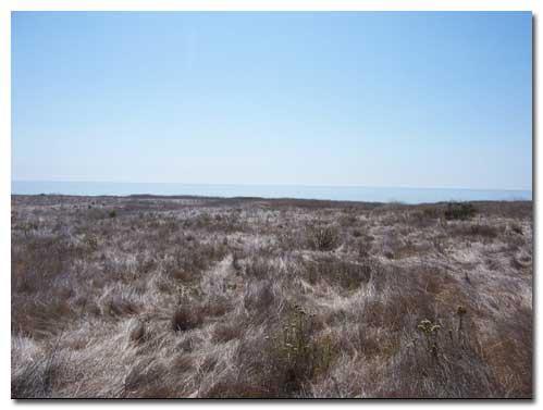 Unocal Cojo Marine Terminal (site)