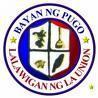 Pugo | town, municipality, third-level administrative division