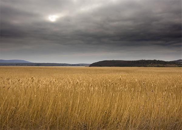 "Poda" Protected Area - Burgas