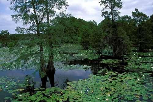 Sheldon Lake State Park