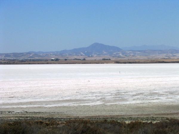Larnaca Salt Lake