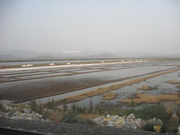Panju Island
