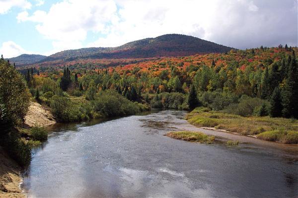 Les méandres de la rivière Du-Diable (Parc national Mont-Tremblant)