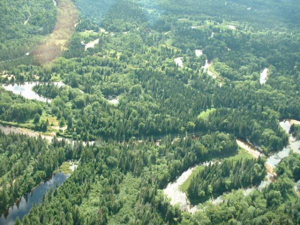 Les méandres de la rivière Du-Diable (Parc national Mont-Tremblant)