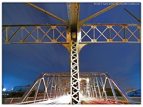 Ayala Bridge - Manila