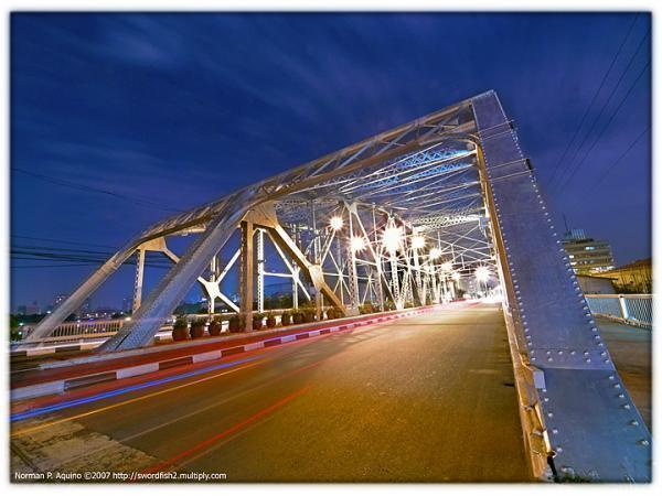 Ayala Bridge - Manila